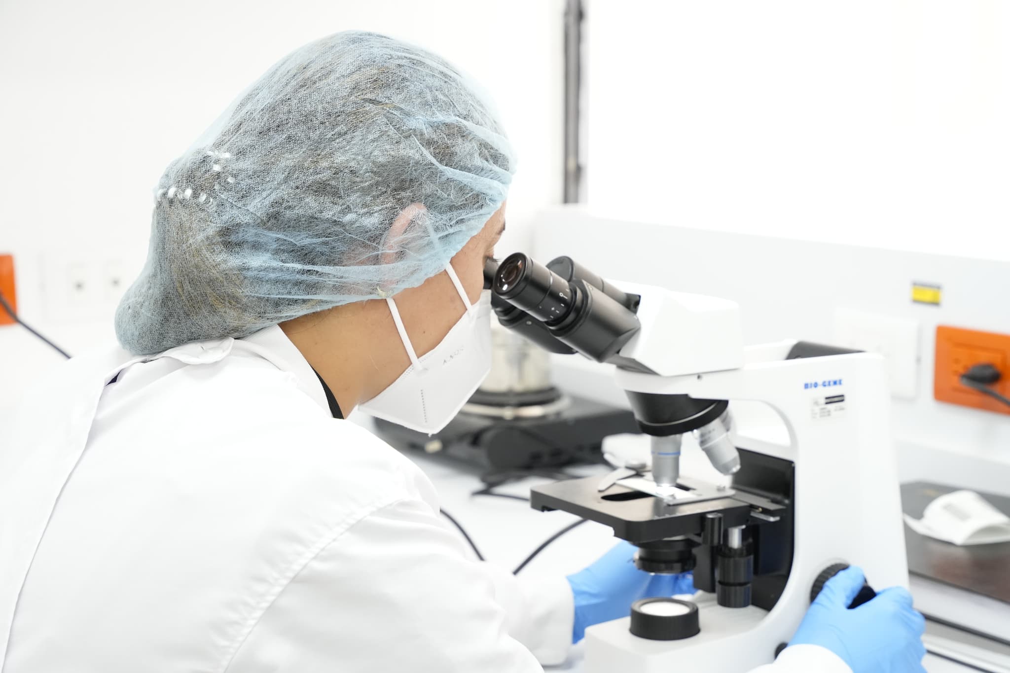 Falcemia - PREVENTIS